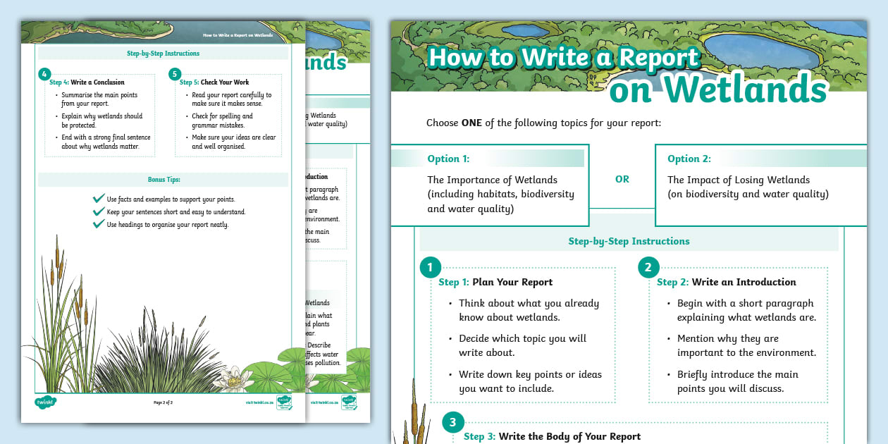 How to Write a Report on Wetlands (Hecho por educadores)
