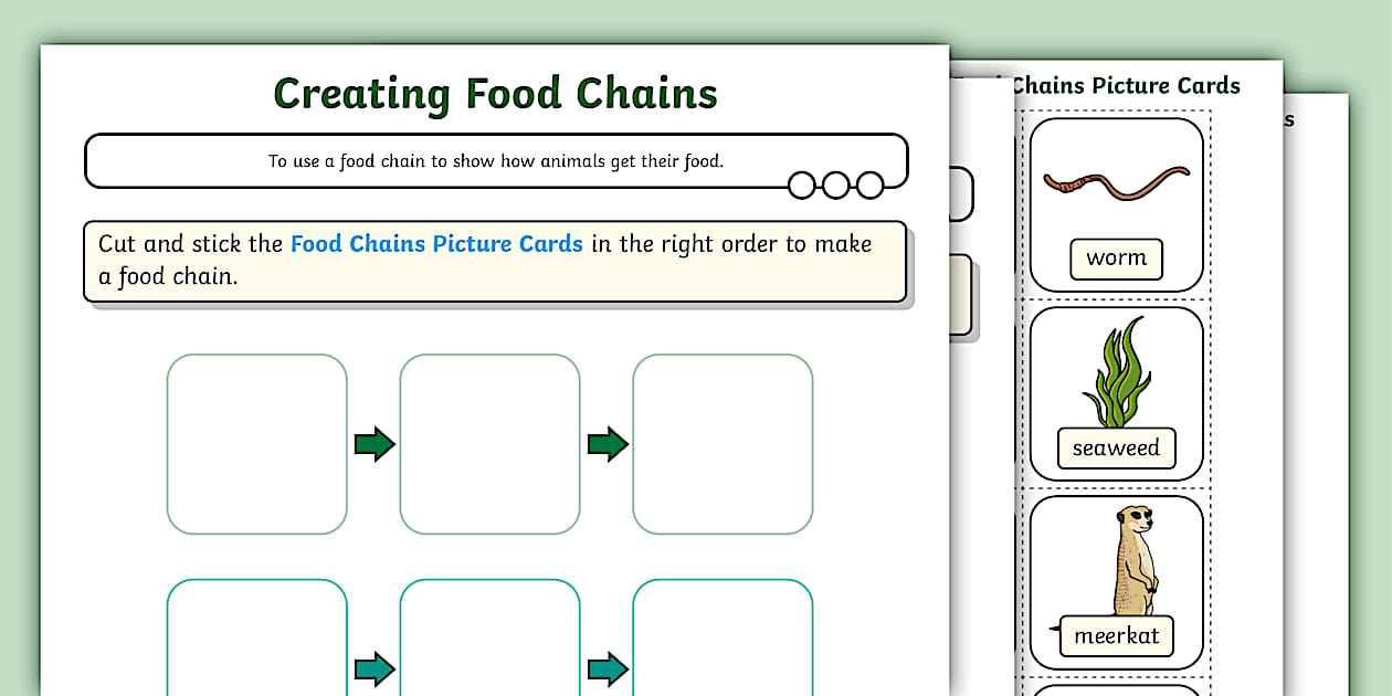 Creating Food Chains Activity Sheets (teacher made) - Twinkl