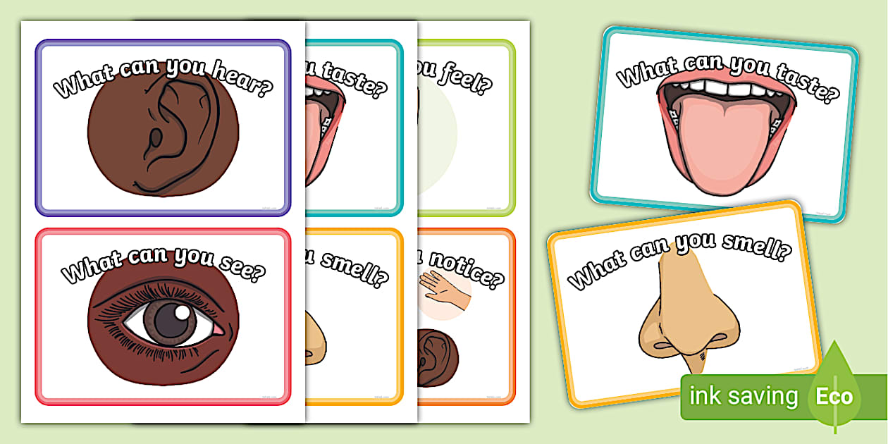 EYLF Mindfulness Focus on the Senses (teacher made) - Twinkl