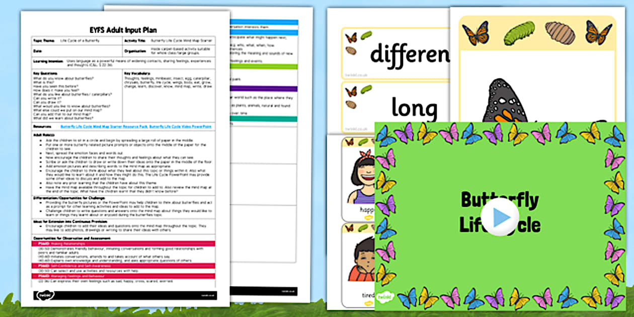 Black and White Butterfly Life Cycle Mind Map Starter Activity EYFS Adult