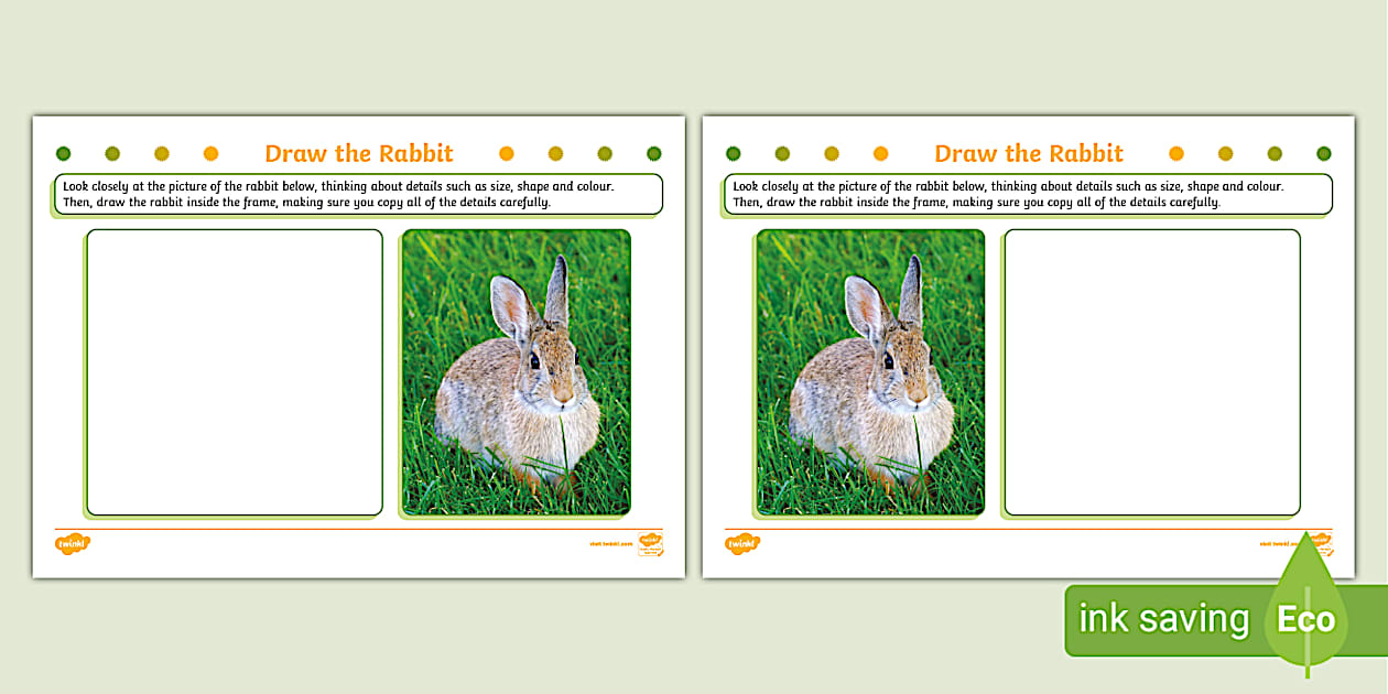 Draw the Rabbit Art Activity, Rabbit Drawing (teacher made)