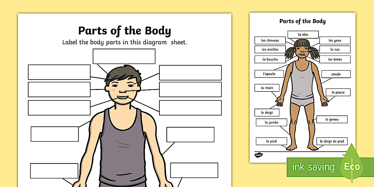 Parts of the Body A4 French Labelled Reference Sheet