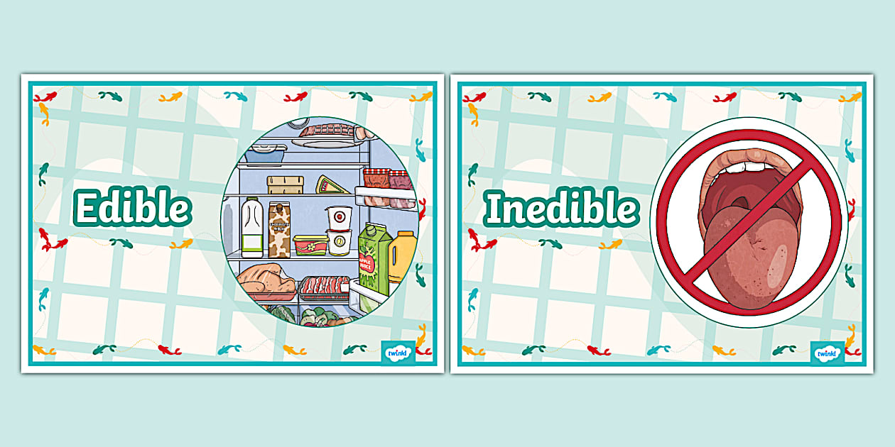 Edible and Inedible Display Poster (teacher made) - Twinkl