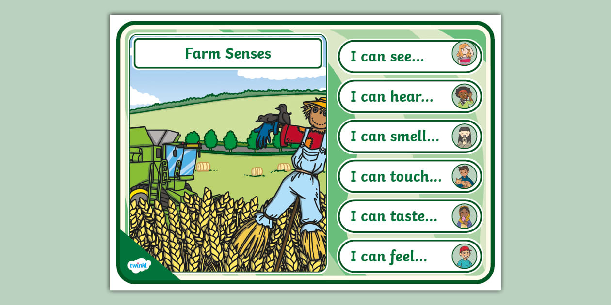 Farm Senses Display Poster - Twinkl English - Twinkl