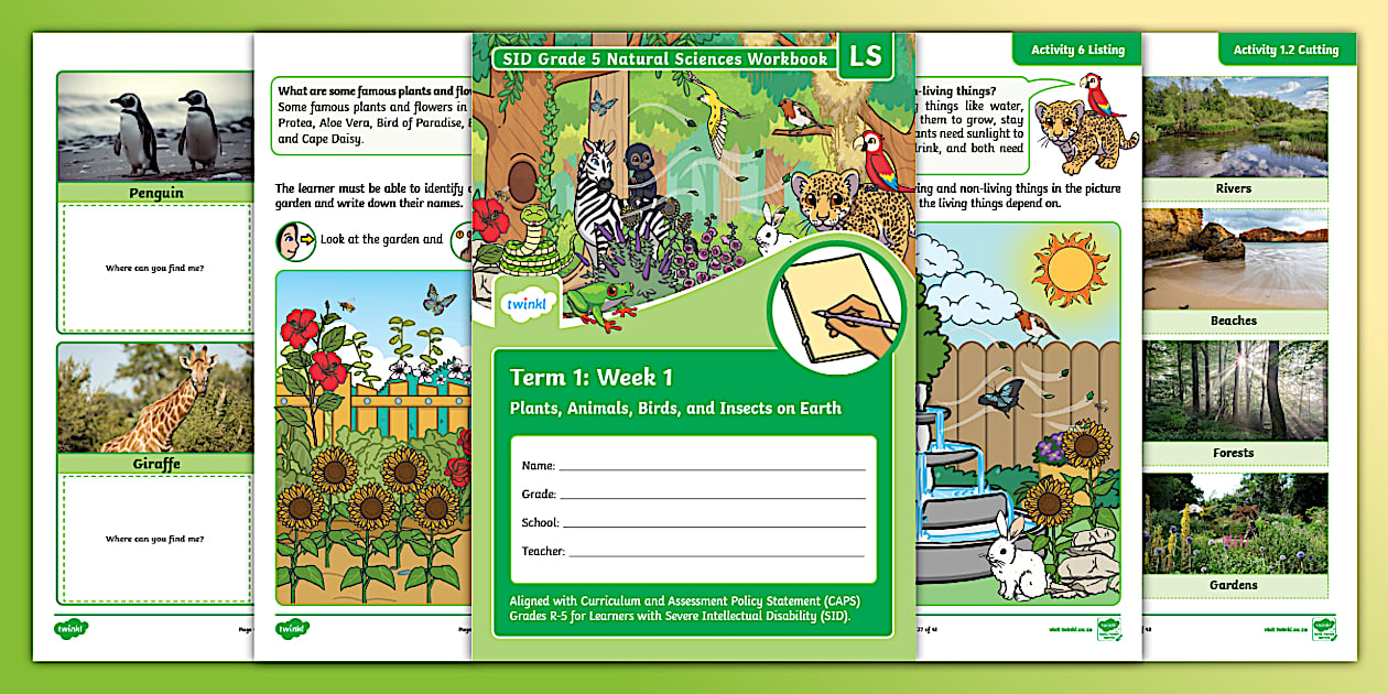 SID: Grade 5 Natural Sciences Booklet Term 1 Week 1 LS