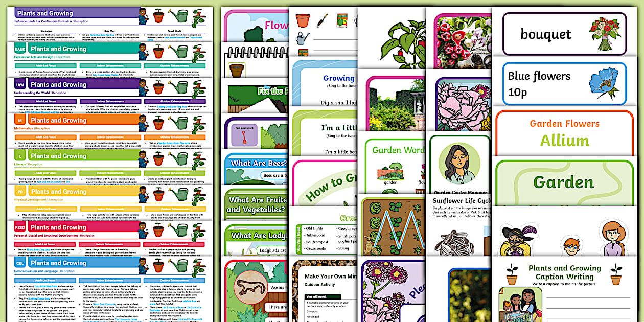 EYFS Plants Planning & Continuous Provision Pack (Reception)