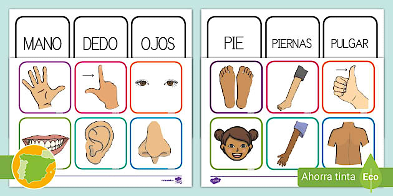 Tarjetas de emparejar - Las partes del cuerpo