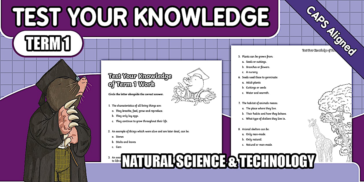 Gr4 NS–T1–Test Your Knowledge of Term 1 Work–Quiz
