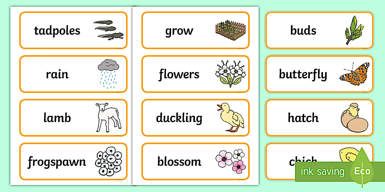 Spring Aistear Word Cards (Teacher-Made) - Twinkl