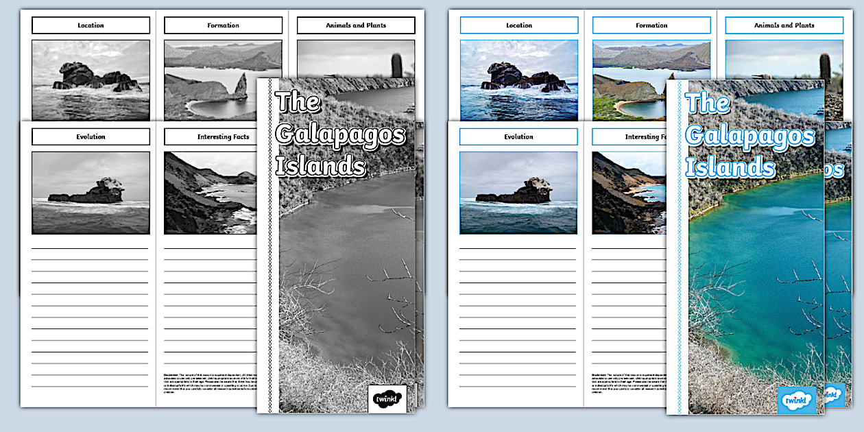 The Galapagos Islands Leaflet Template (teacher made)