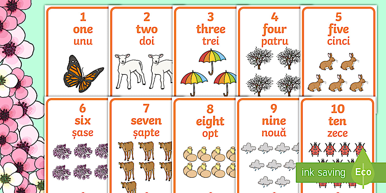 Spring Themed 1 10 Word and Number Display Posters-English-Romanian ...