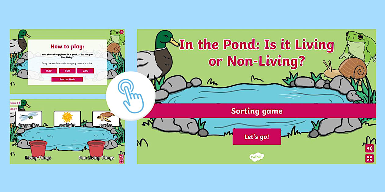 In the Pond: Is it Living or Non-Living? (Interactive Game)
