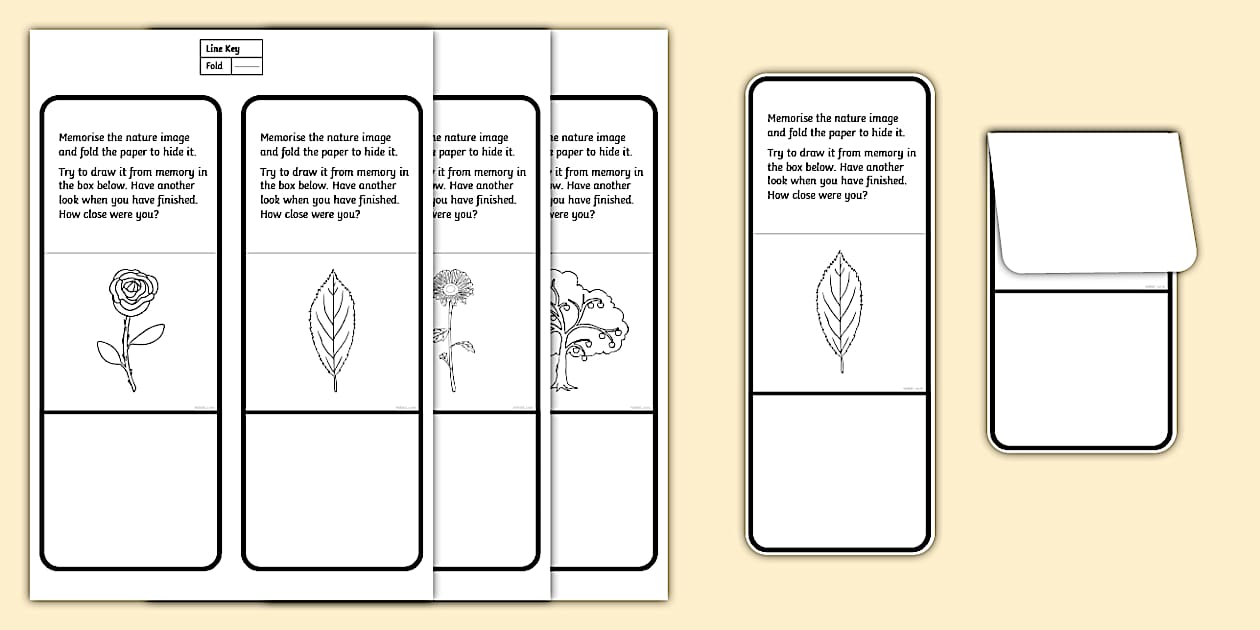 Nature Draw from Memory Activity (Teacher-Made) - Twinkl