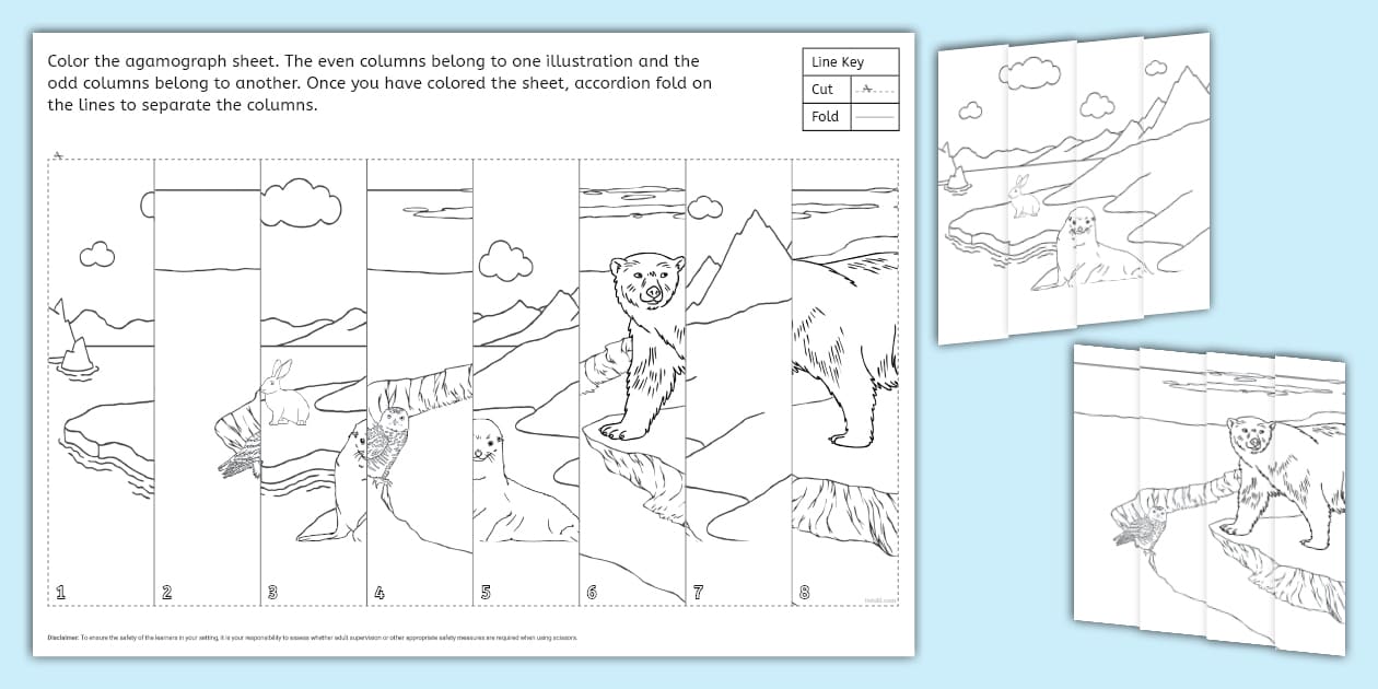 Arctic Animals Agamograph - Twinkl Arts and Crafts - Twinkl