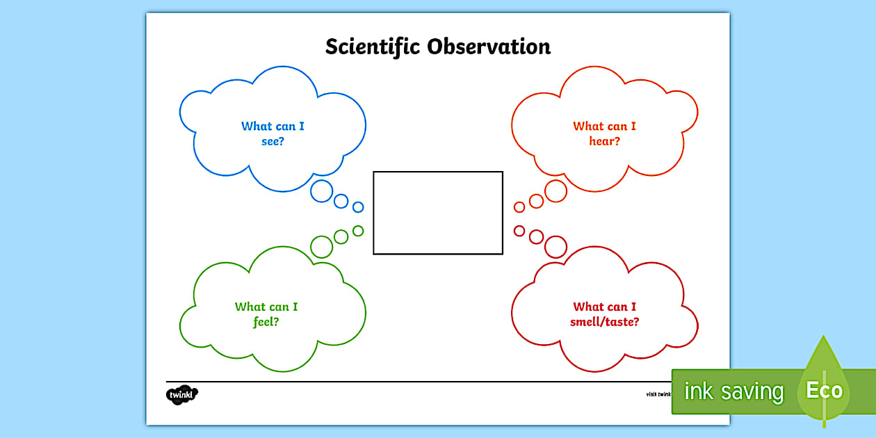 Editable Scientific Observations Worksheet (professor feito)