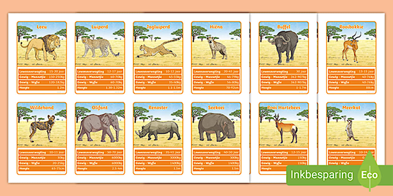 Diere Speletjie (teacher made) - Twinkl