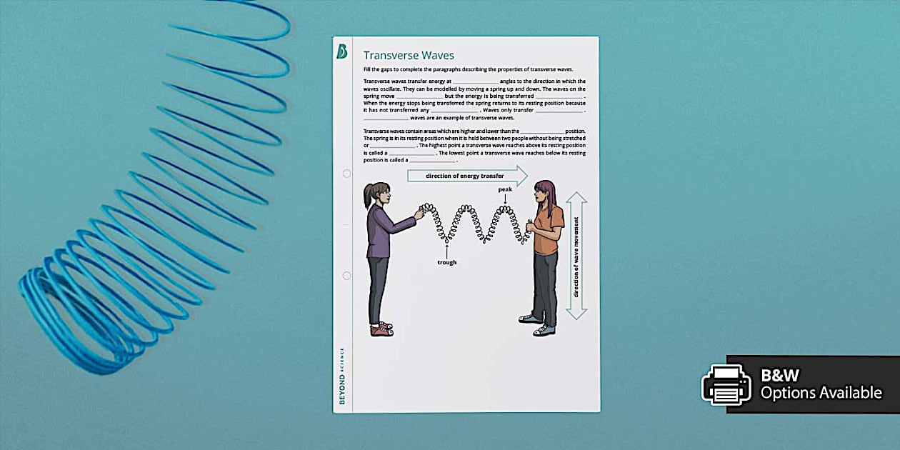 Transverse Waves Gap Fill Exercise | Physics | Beyond