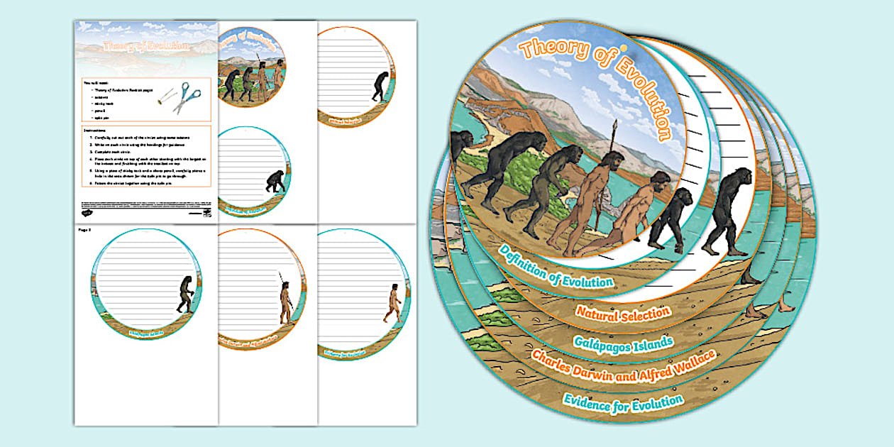 Theory of Evolution Circles Booklet (teacher made) - Twinkl