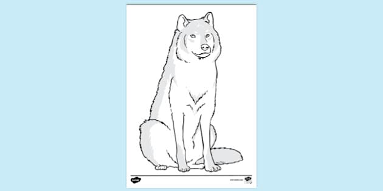 Wolf Picture Colouring Sheet | Colouring Sheets - Twinkl