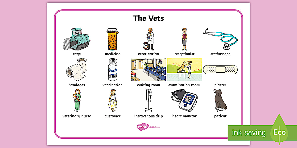 Black and White The Vets Aistear Word Mat (teacher made)