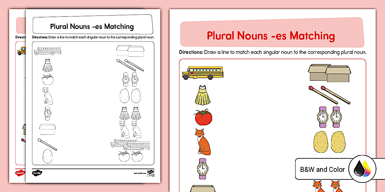 Kindergarten Plural Nouns -es Matching Worksheet - Twinkl