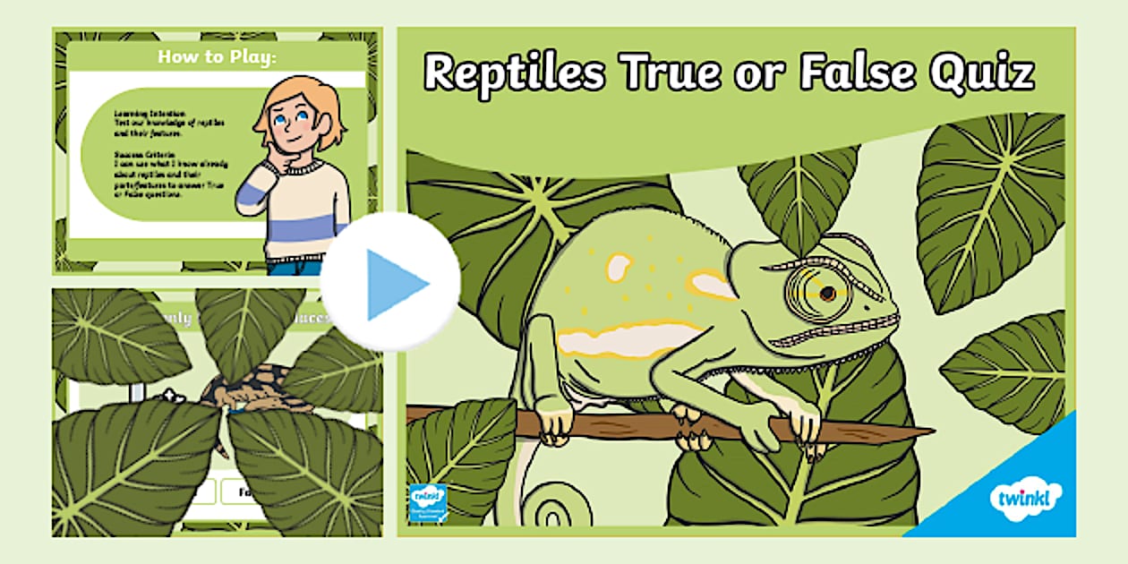 Features of Reptiles Science Quiz (teacher made) - Twinkl