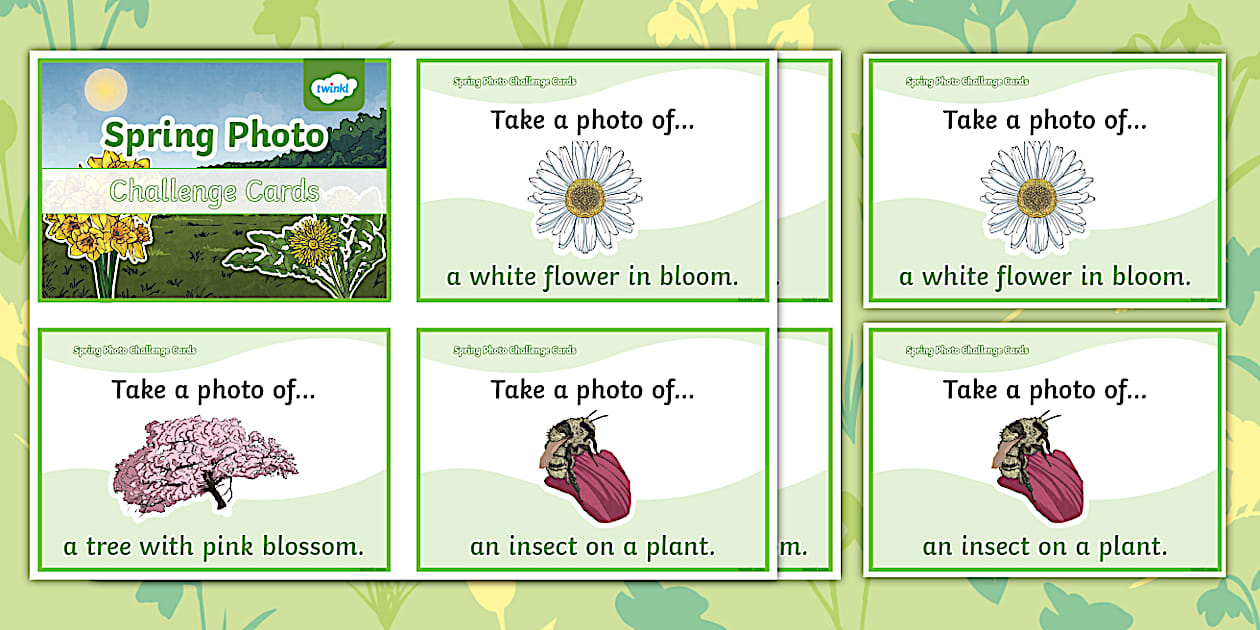 Spring Photo Challenge Cards - KS2 (teacher made) - Twinkl