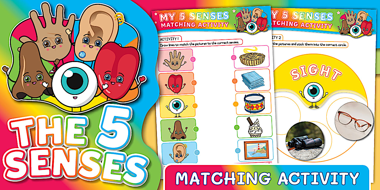 Five Senses - Activity Sheet: 5 Senses Matching Activity