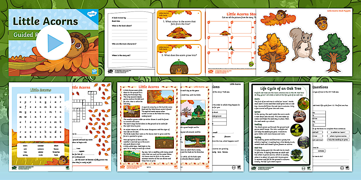 Little Acorns Guided Reading Pack (teacher made) - Twinkl