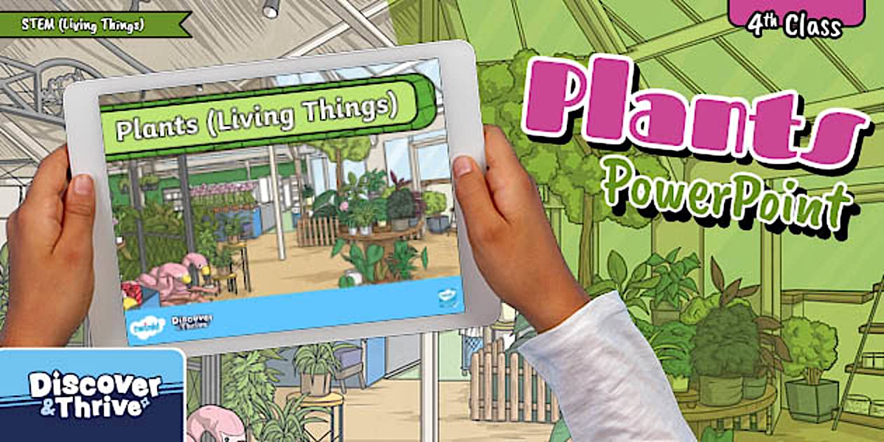 STEM (Living Things) Plants PowerPoint (4th Class)