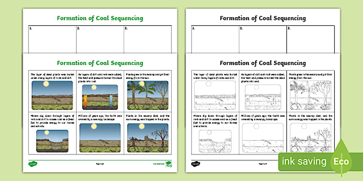 Formation of Coal for Kids Sequencing Worksheet | Science 3-5
