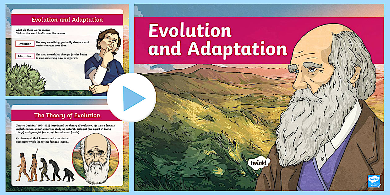 Y6 Evolution and Adaptation PowerPoint - Twinkl