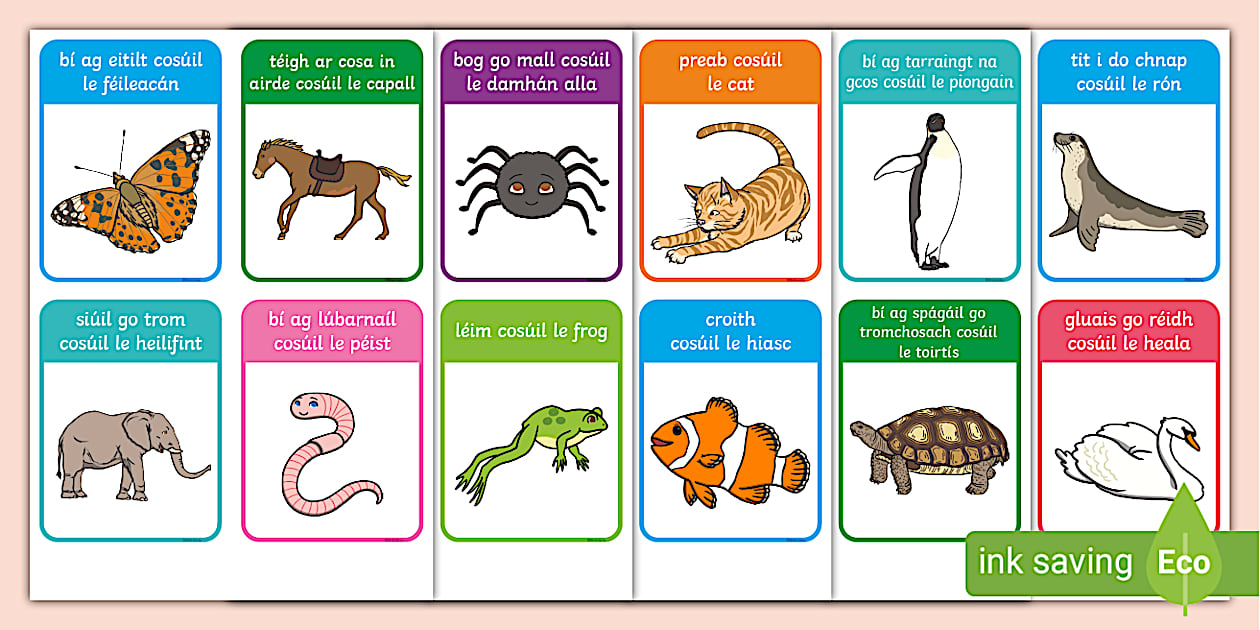 Animal Movements Gross Motor Activity Cards Gaeilge - Twinkl