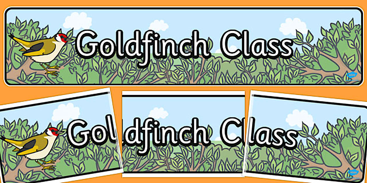 Gold Finch Themed Classroom Display Banner (teacher made)