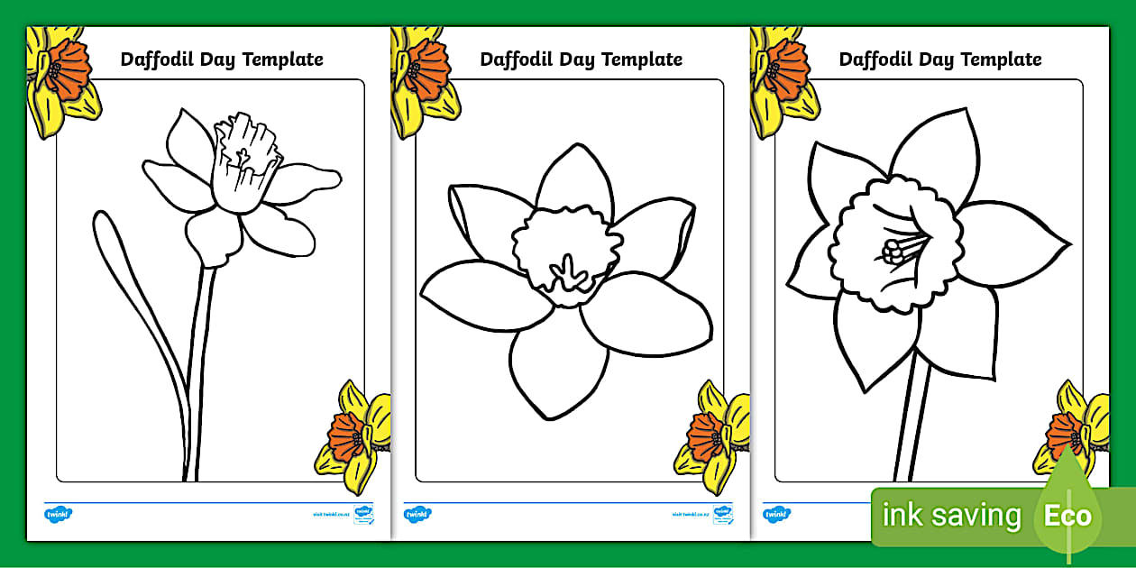 Celebrate Daffodil Day with this Daffodil Template Outline