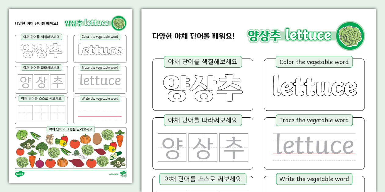 한글과 영어 동시에 완성하기 | 야채 | 양상추 | Vetetables Lettuce Tracing Activity (Korean