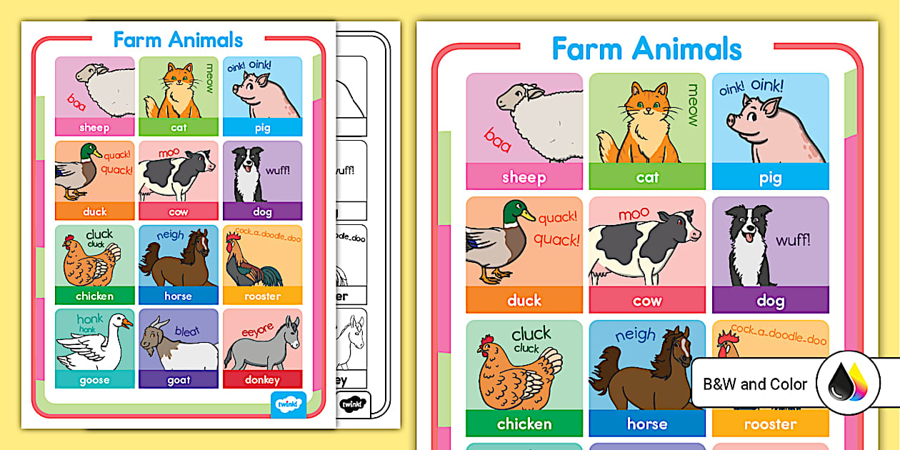 Farm Animals Pictures | Educational Resources | Twinkl USA