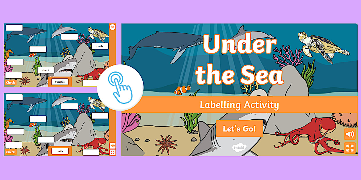 Interactive Under the Sea Labelling Activity | Twinkl Go!