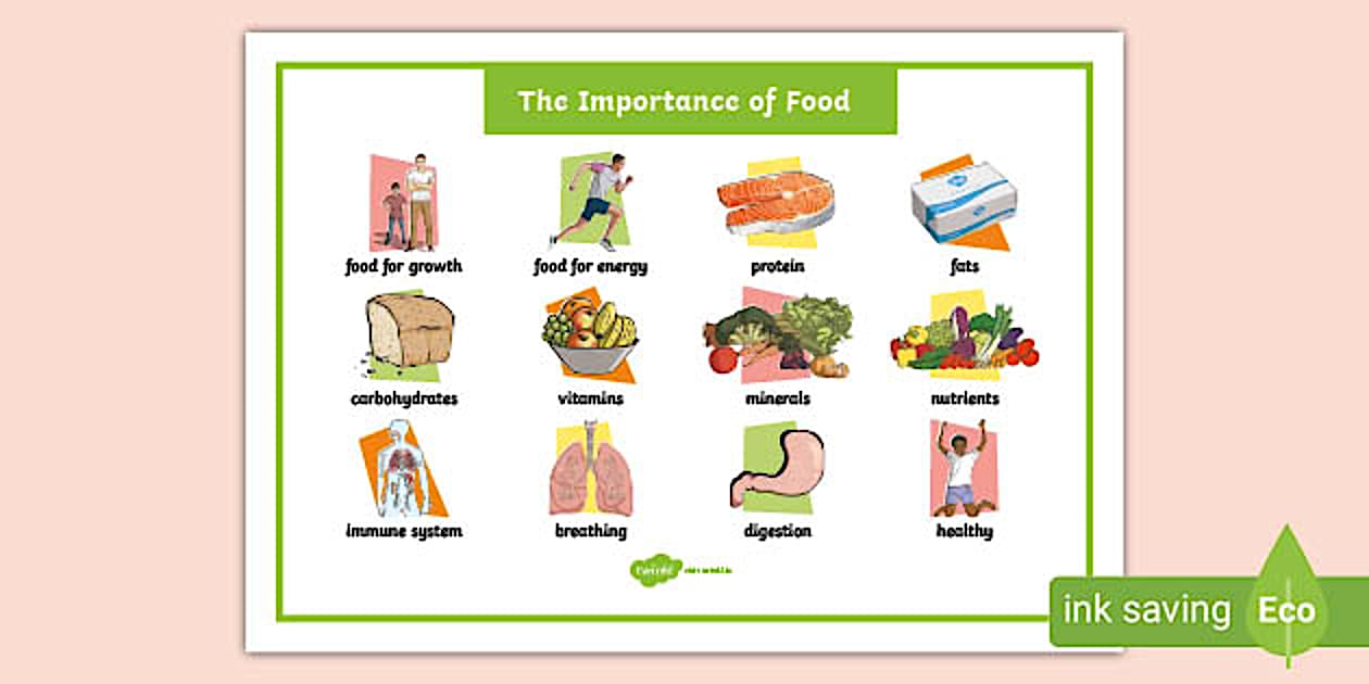 The Importance of Food Word Mat