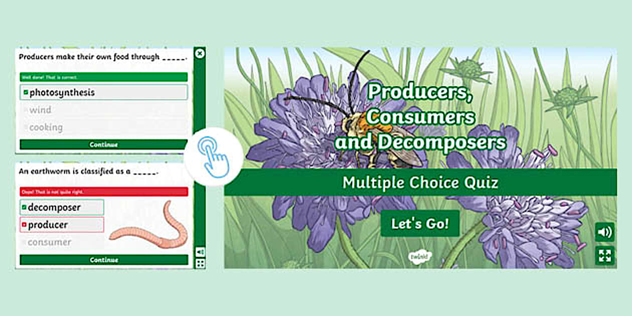 Producers, Consumers and Decomposers Quiz (teacher made)