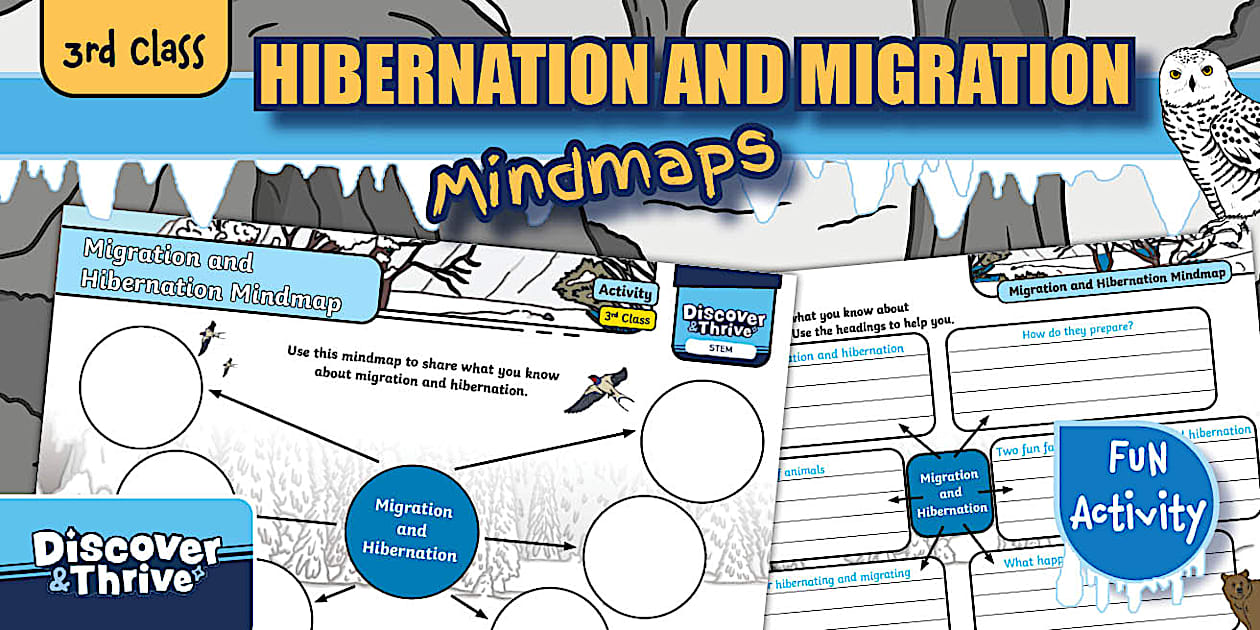 STEM (Living things) Hibernation and Migration mindmaps