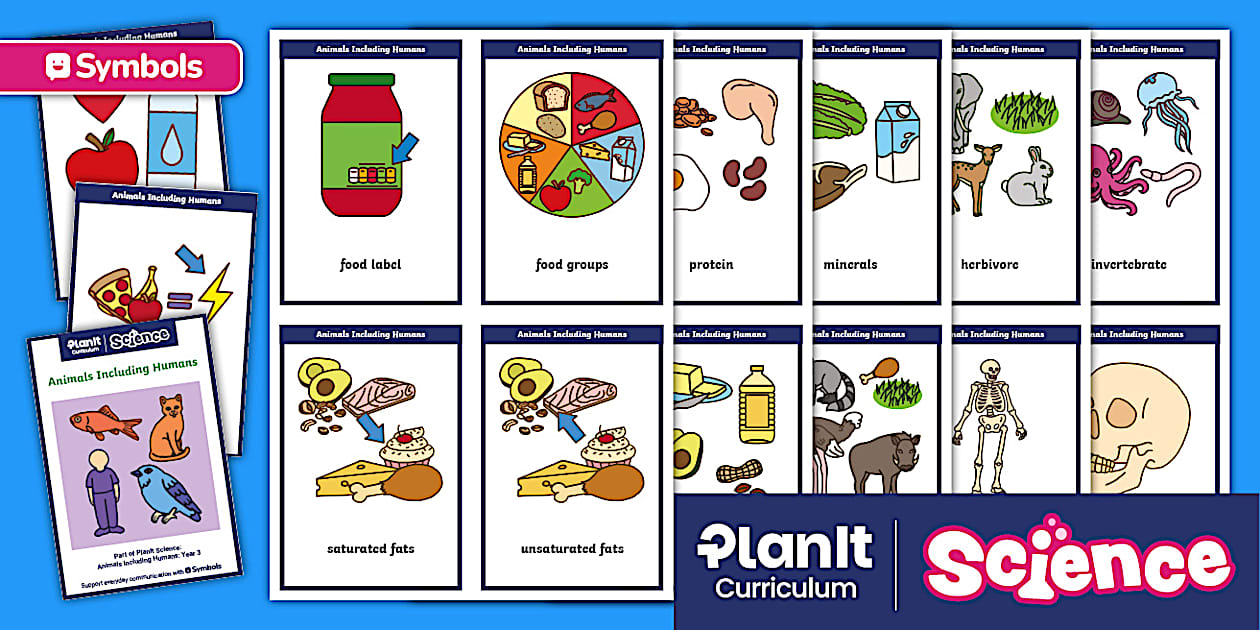 Twinkl Symbols: Animals Including Humans: Year 3: Flashcards