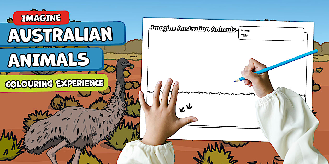 Imagine Australian Animals - Colouring Experience