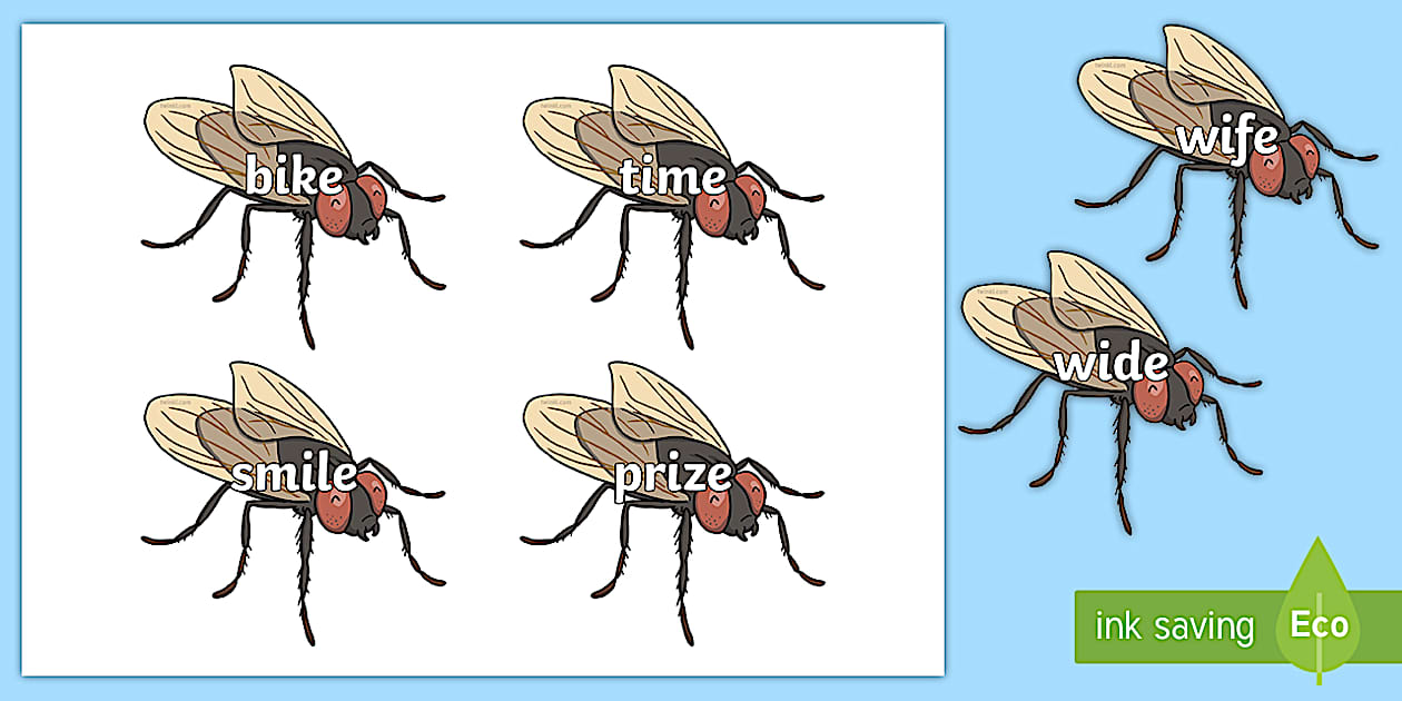 ‘i_e’ Swat That Fly Sound Game | CfE Resources | Twinkl