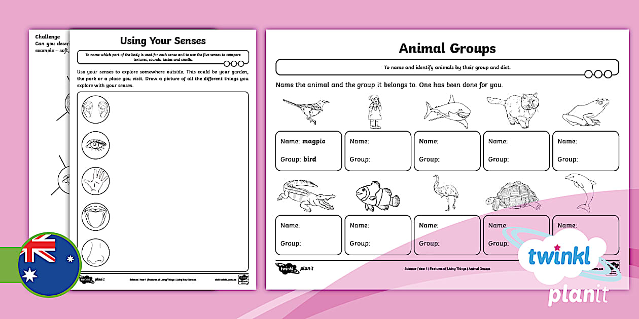 Year 1 Science Features of Living Things Home Learning Tasks