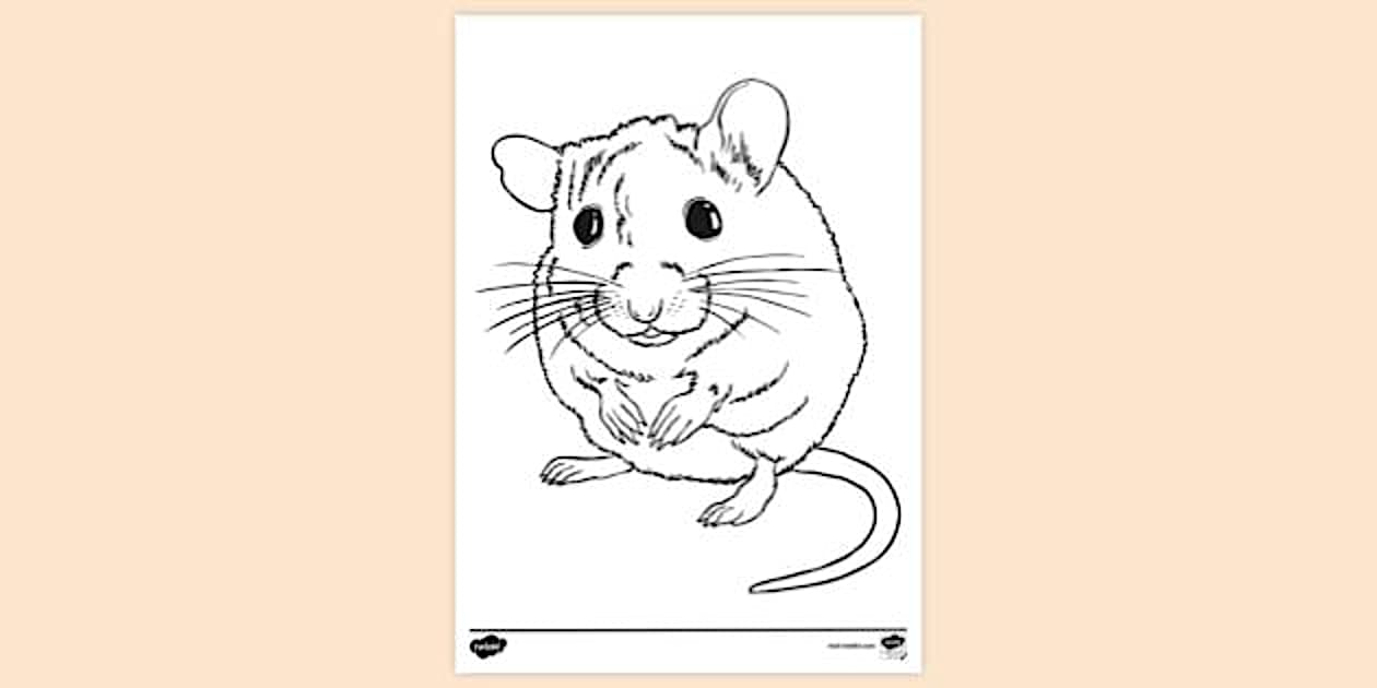 Small Mouse Colouring | Colouring Sheets (teacher made)
