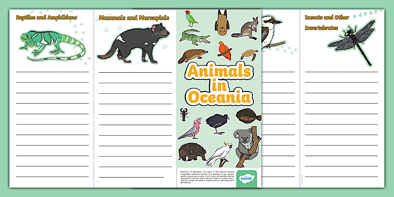 Animals in Oceania Leaflet Template (teacher made) - Twinkl