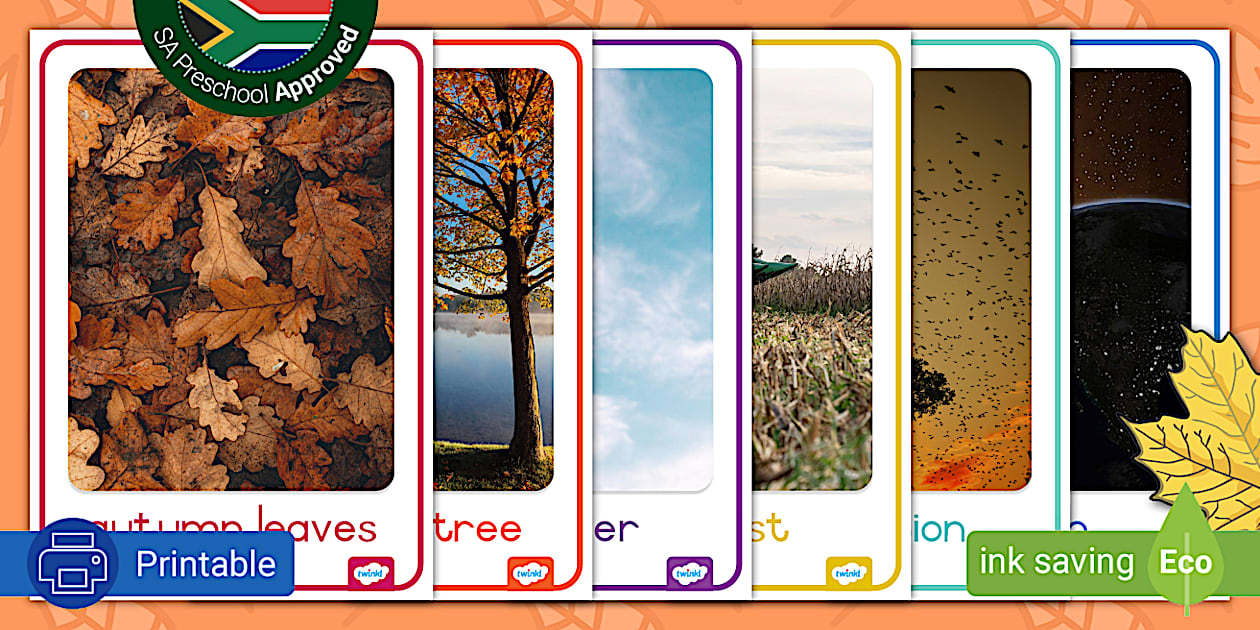 Autumn: Display Photos I Resource I Twinkl ZA - Twinkl