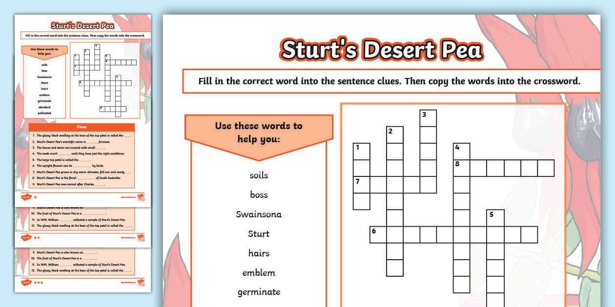 Sturt's Desert Pea Differentiated Crosswords - Twinkl