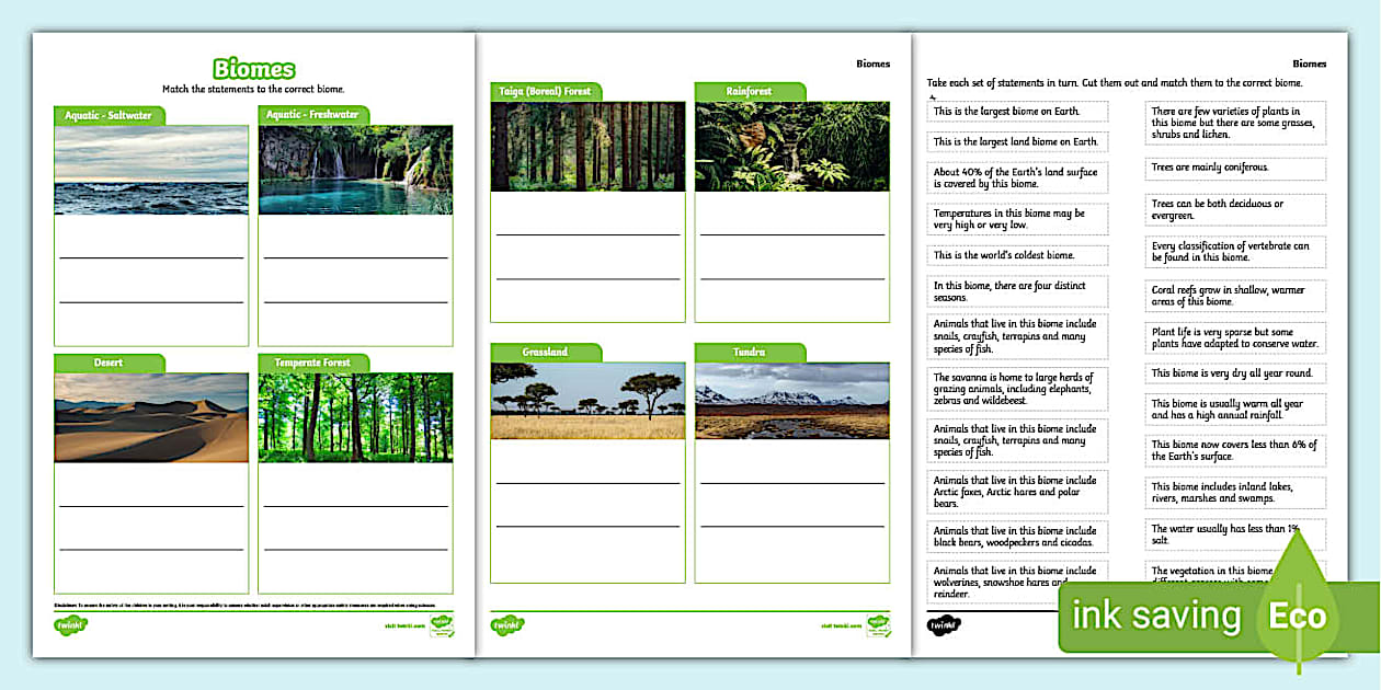 Biomes Matching Activity | Geography (teacher made) - Twinkl